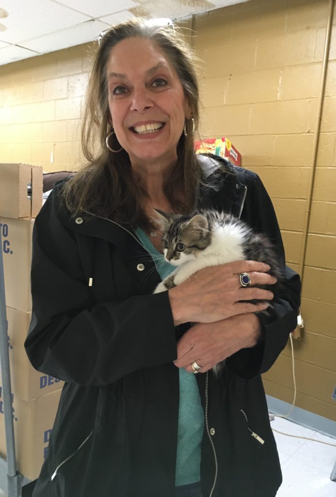 Adoptable Animals Toggle child menu Expand