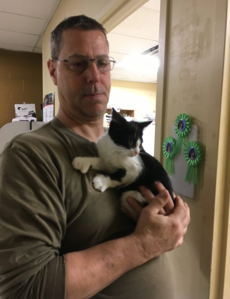 Adoptable Animals Toggle child menu Expand