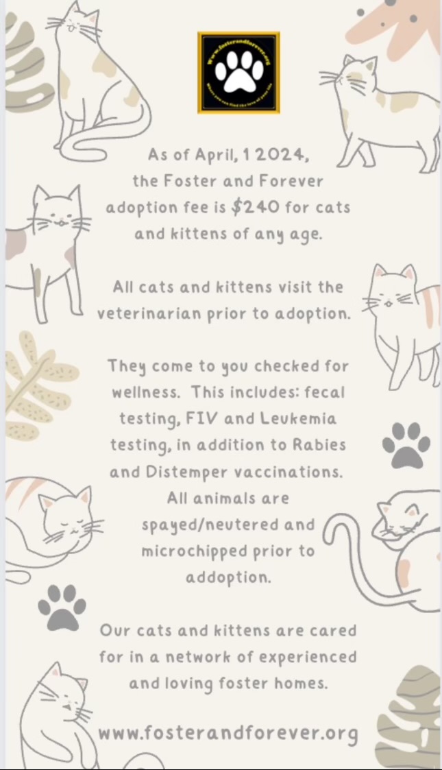 Adoption Process & Fees
